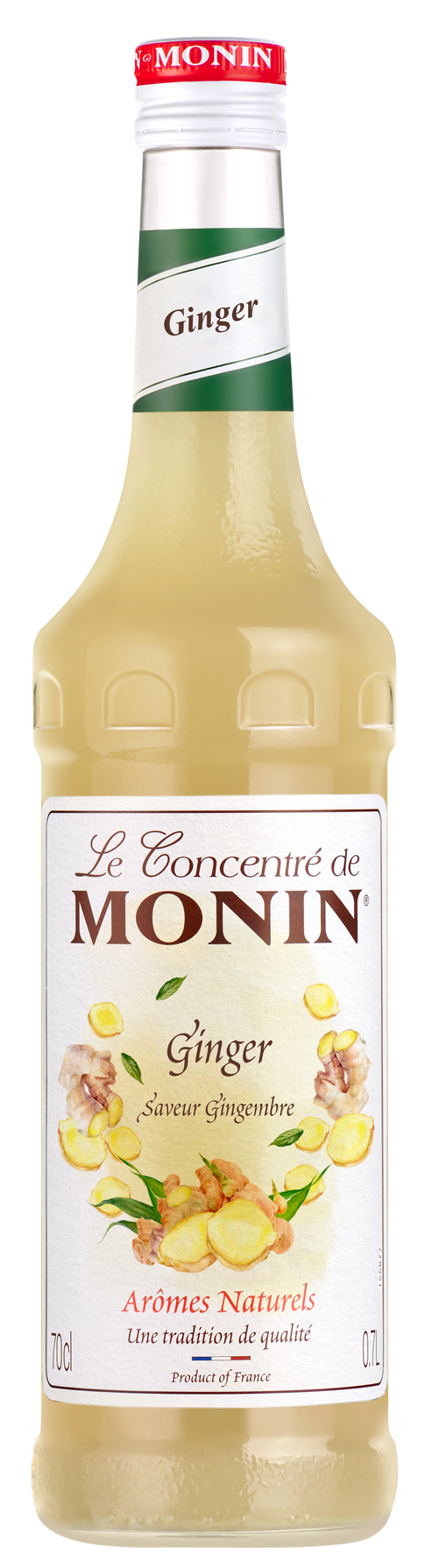 MONIN Ginger Concentrate – Bennett Opie