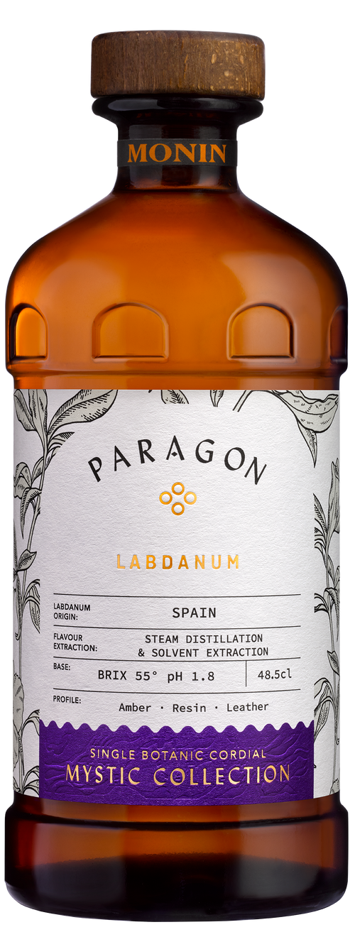 MONIN's Paragon Cordial For Sale | UK Delivery | Bennett Opie