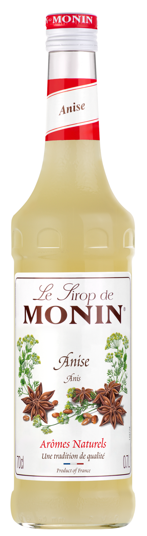 MONIN Anise syrup – Bennett Opie