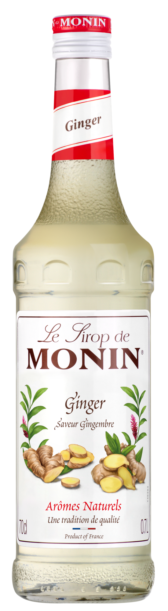 MONIN Ginger Syrup – Bennett Opie