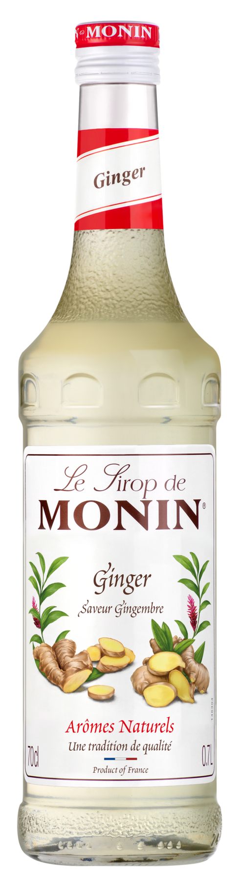 MONIN Ginger Syrup – Bennett Opie
