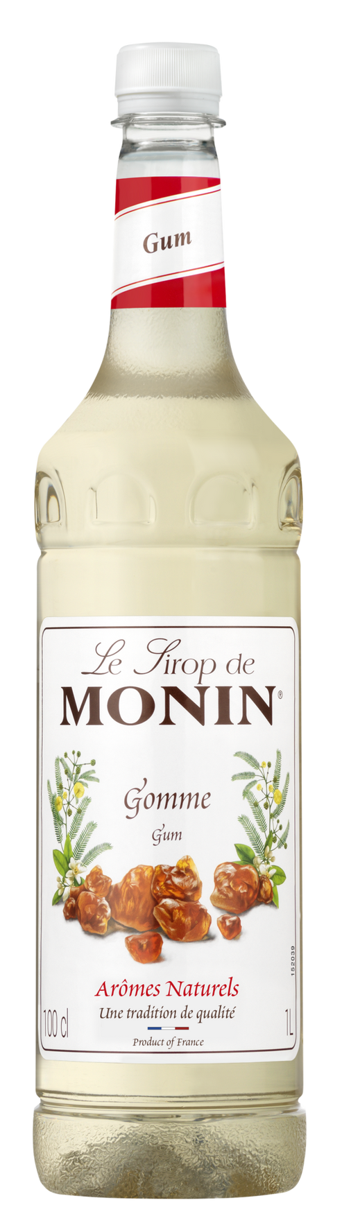MONIN Gum Syrup – Bennett Opie