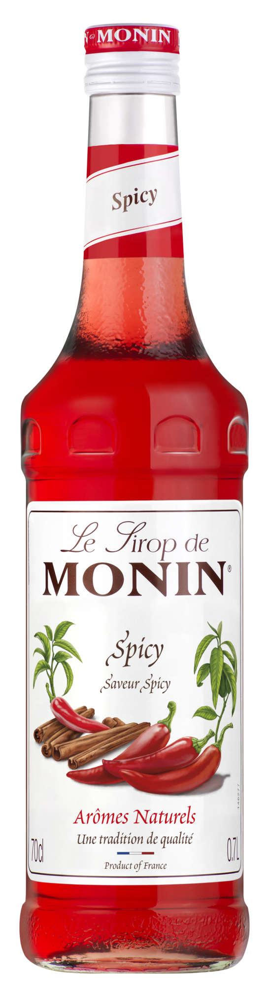 MONIN Spicy syrup – Bennett Opie